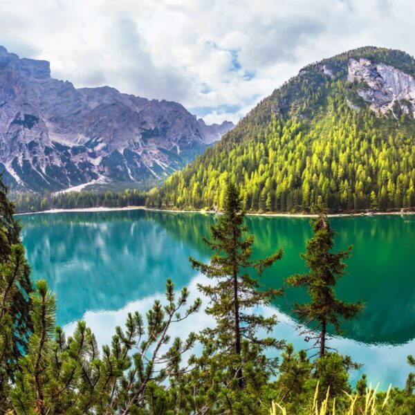 Semesterferien in Wien 2024 und 2025 in Österreich